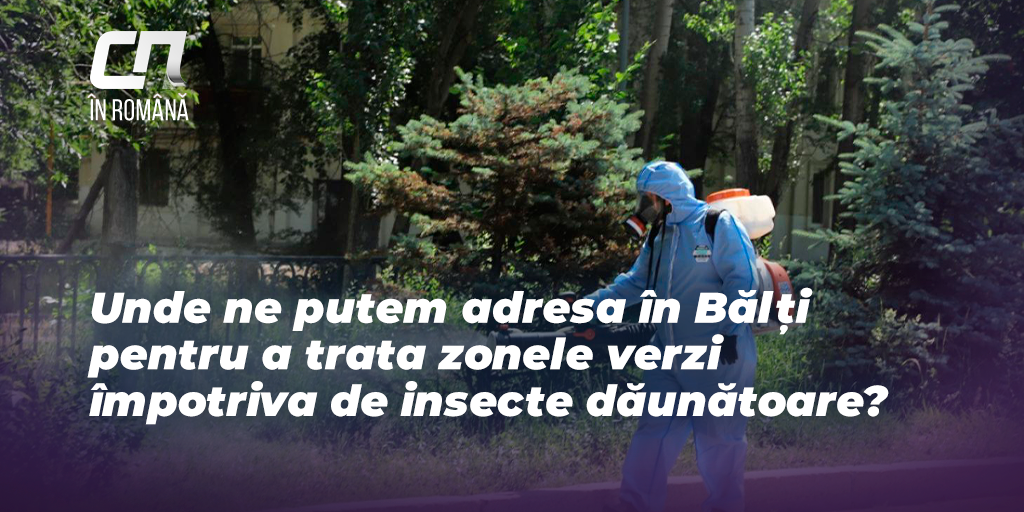 Unde ne putem adresa în Bălți pentru a trata zonele verzi împotriva de ...