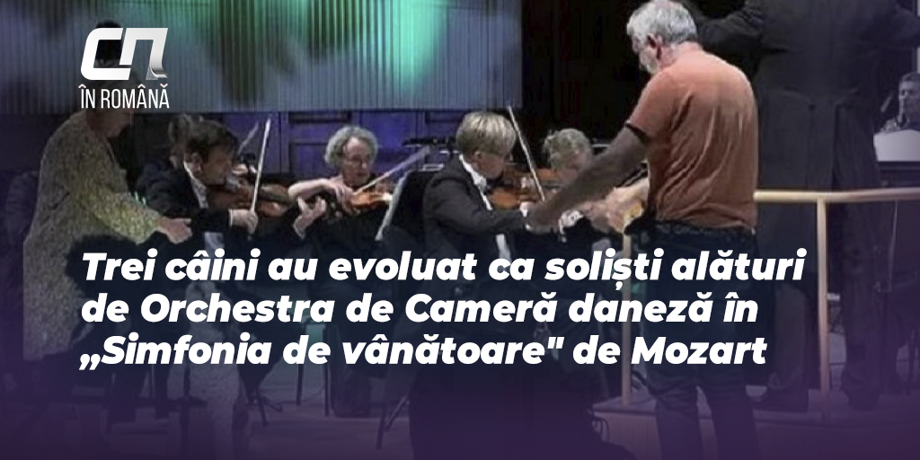 Trei câini au evoluat ca soliști alături de Orchestra de Cameră daneză ...